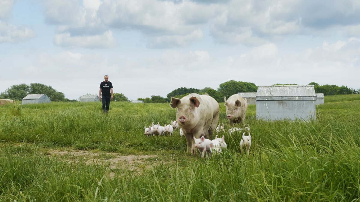Økologi giver rekordomsætning hos Friland