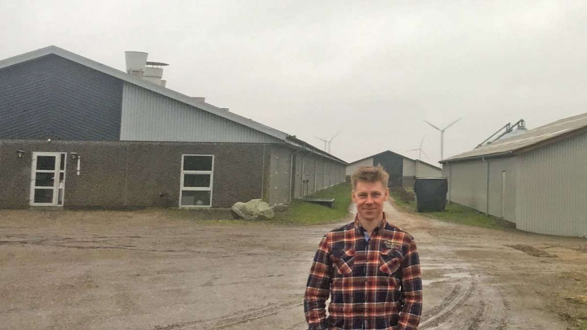 Ny formand for Danske Svineproducenter