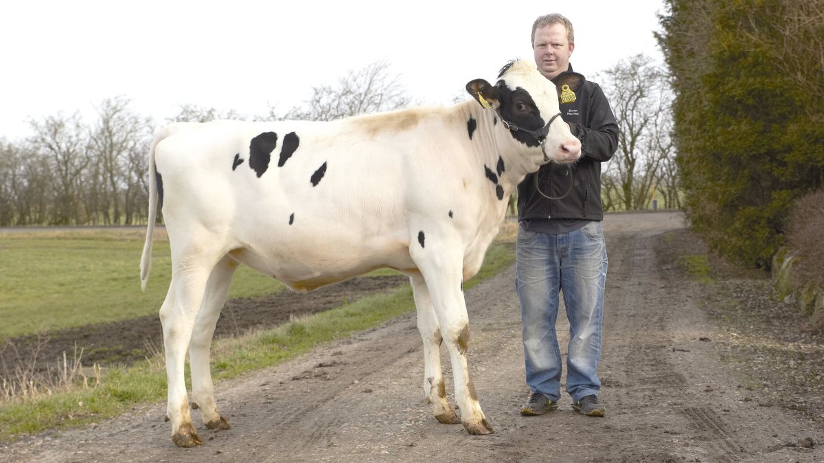 Hammerslag og tyroler stemning