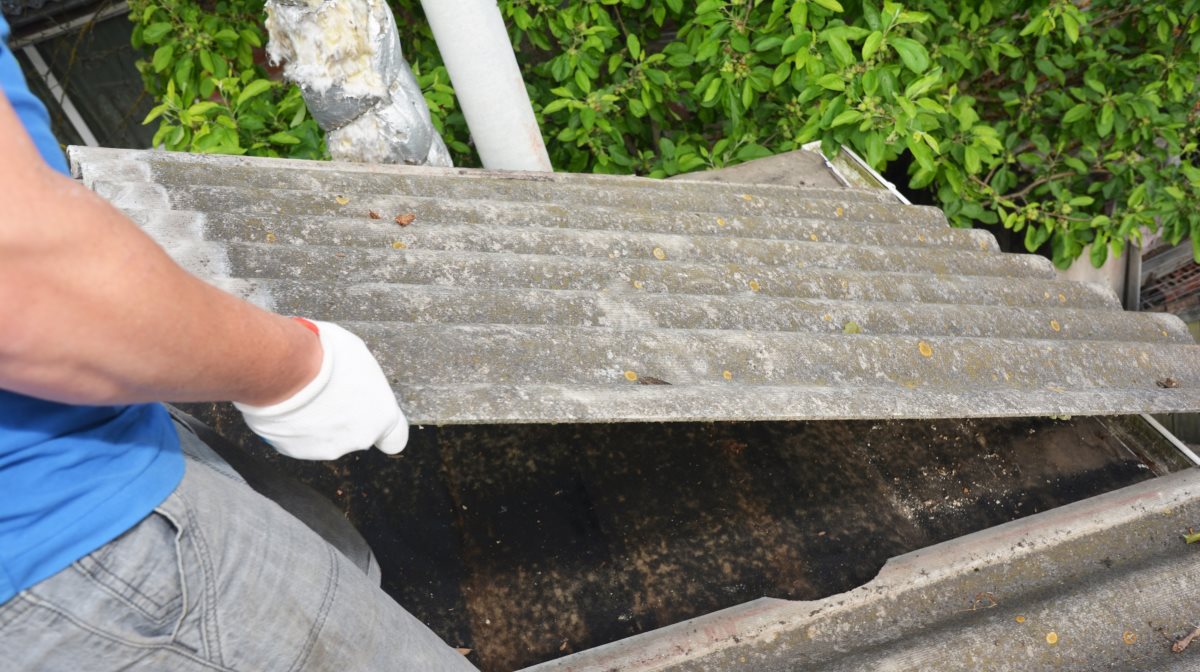 Dumpet asbest i din skov? Staten kan tage regningen