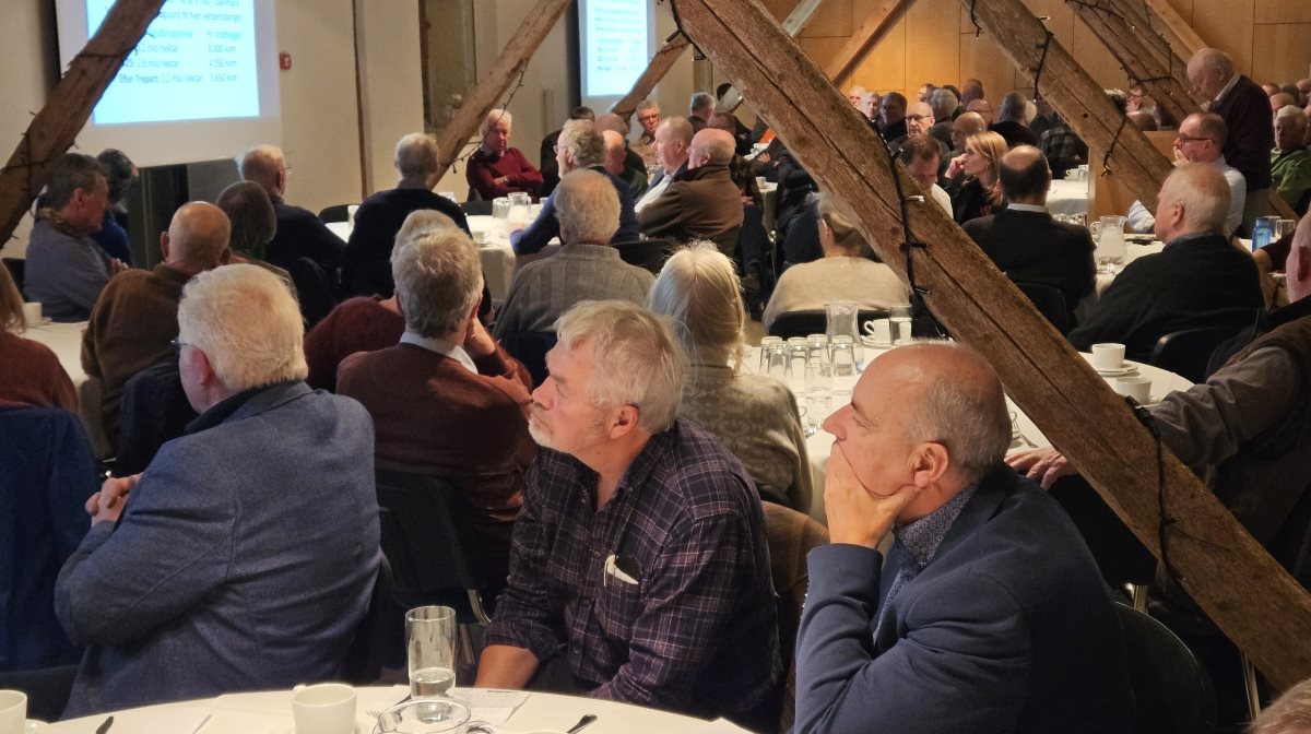Trepart med både gulerod og pisk