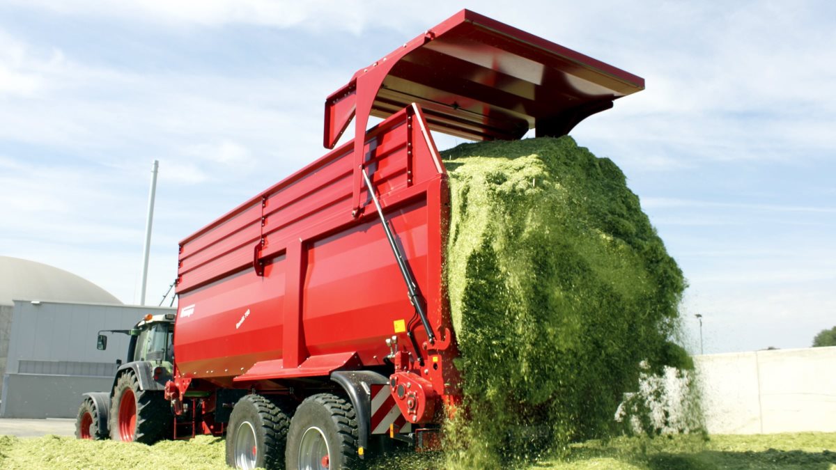 Fem Krampe-forhandlere