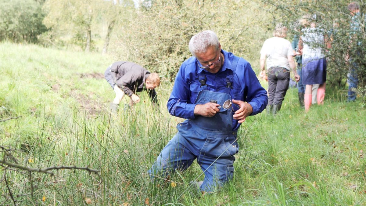 Si afslører leverikter