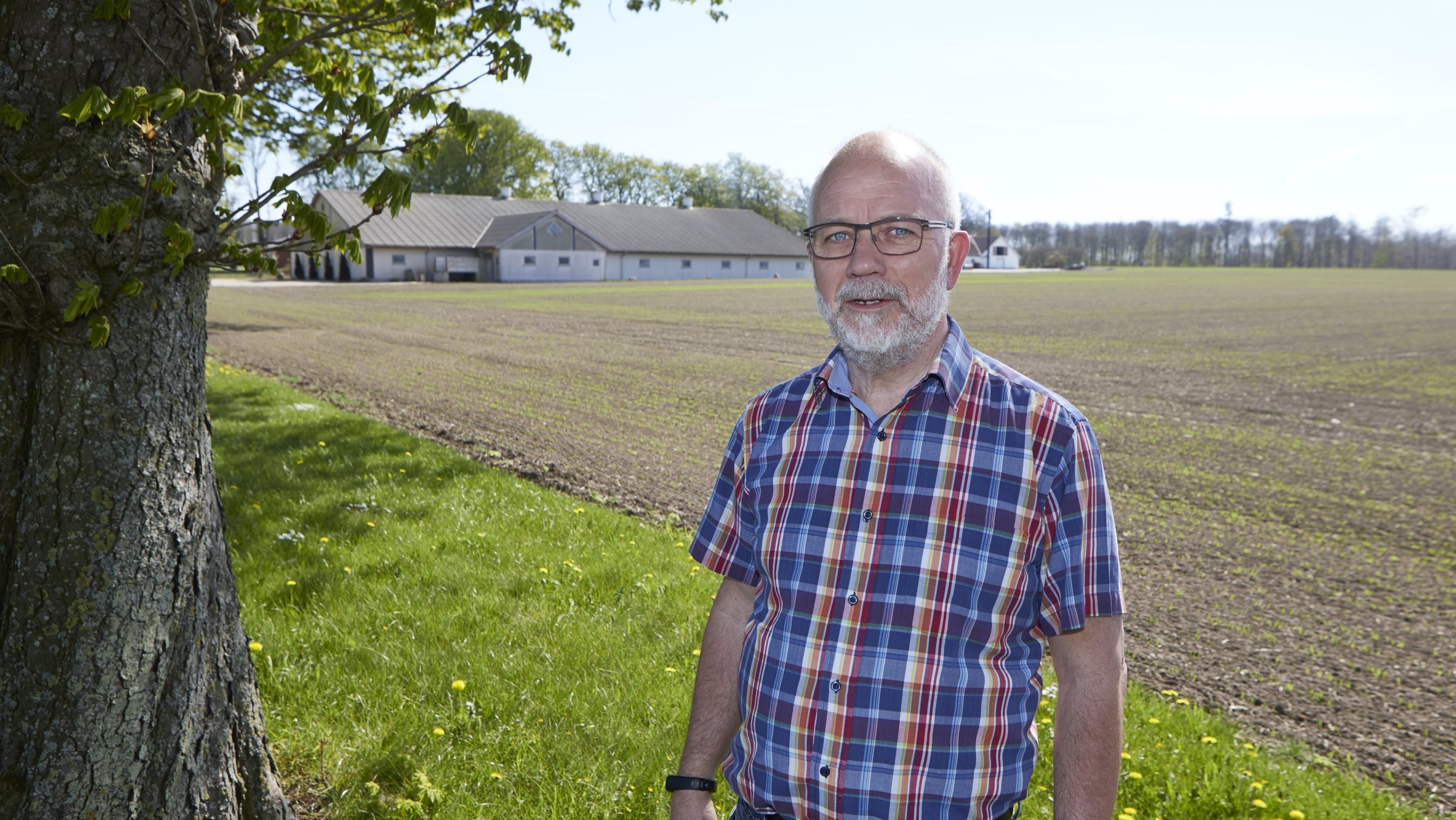 Jorden frasolgt og staldene udlejet