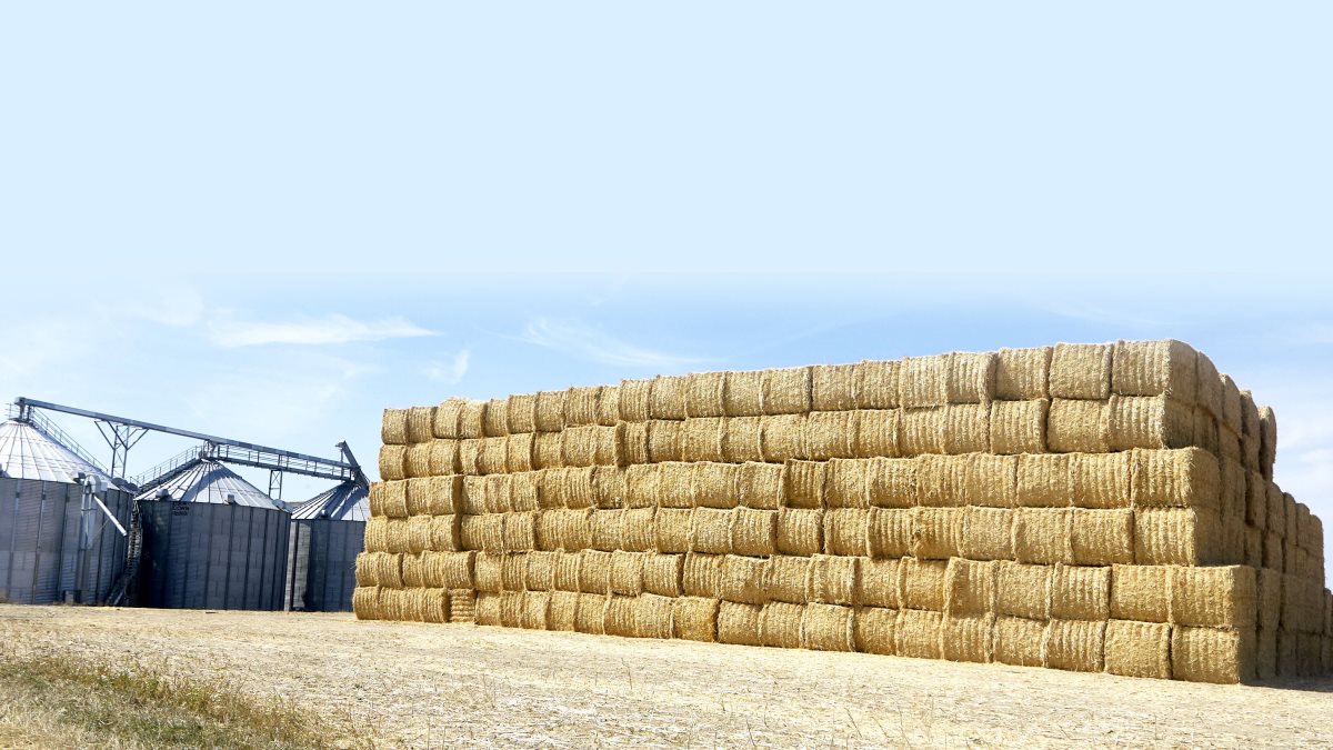 Har 5.000 tons halm til salg