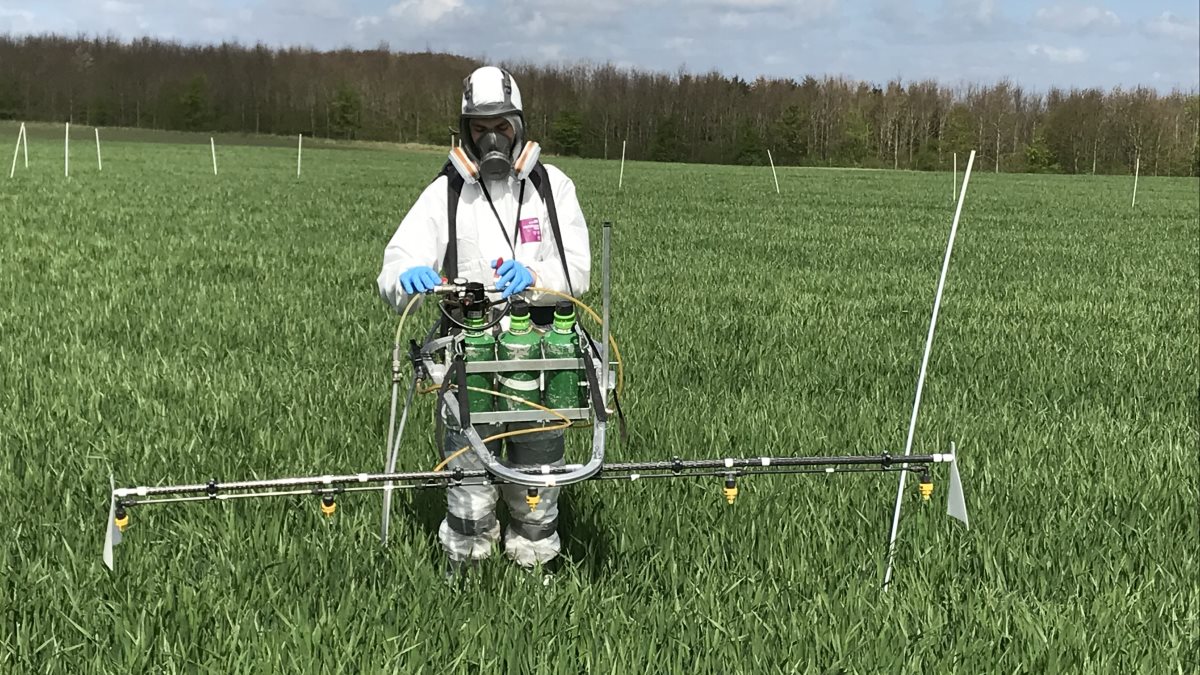 Ny metode til af afbøde pesticidudvaskning