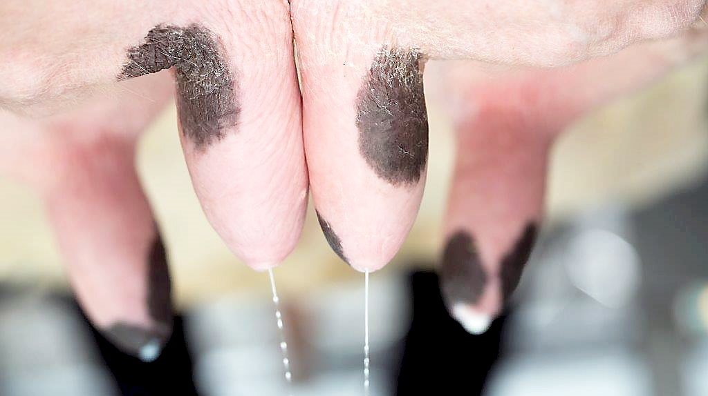 Mælk og mark kom bedst ud af 2022