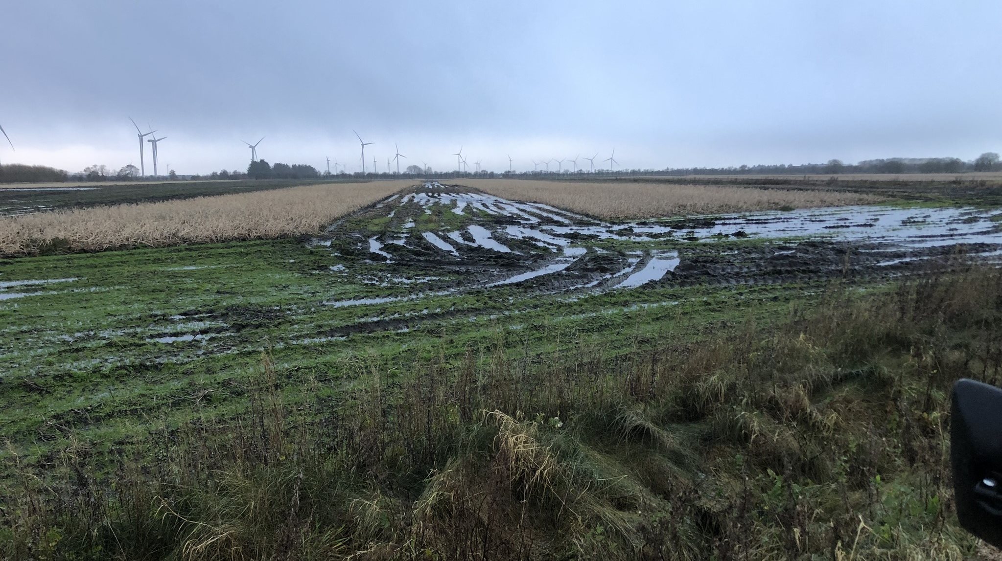 Strip-till før kartofler: Jorden bærer bedre hos Bimpel