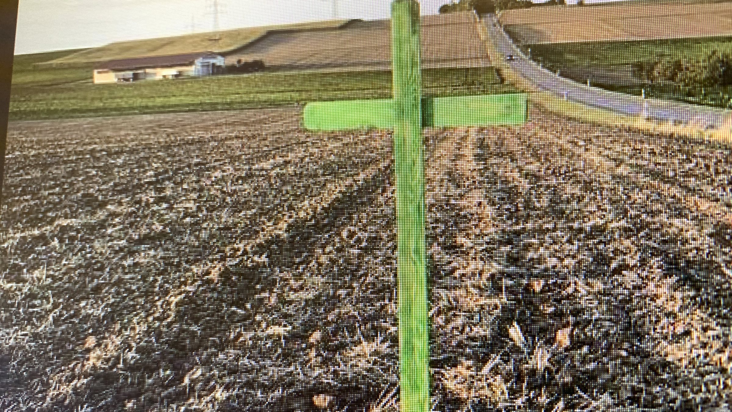 Landbrug på vej i graven: Grønne kors præger de tyske marker
