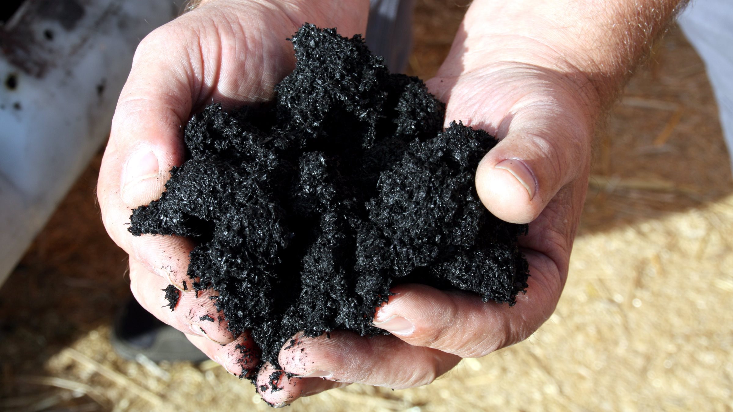 Biokul som fosforkilde på danske marker
